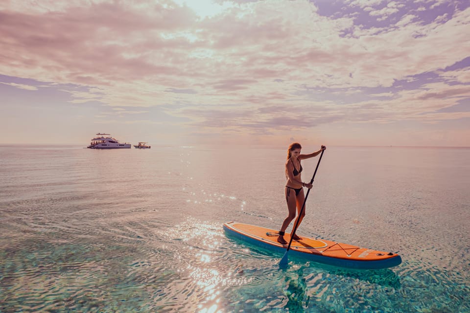 All-Inclusive Tulum: Coast & Fun 4 hours in 50' Cranchi | GetYourGuide