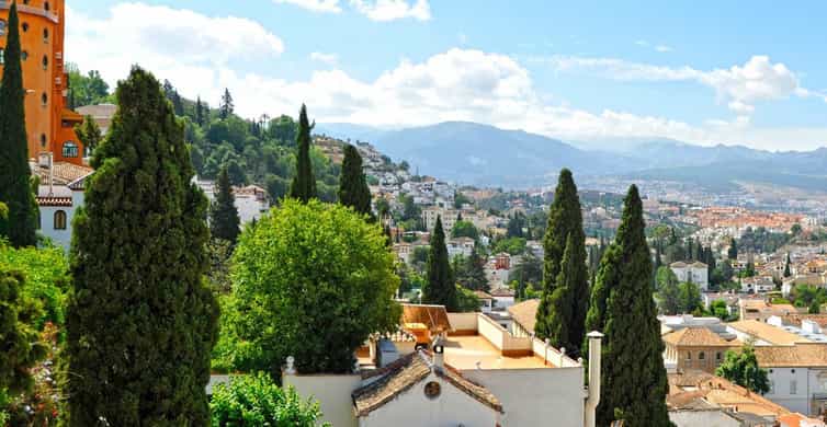 Bedste seværdigheder og oplevelser i Realejo 2024 - GRATIS afbestilling ...