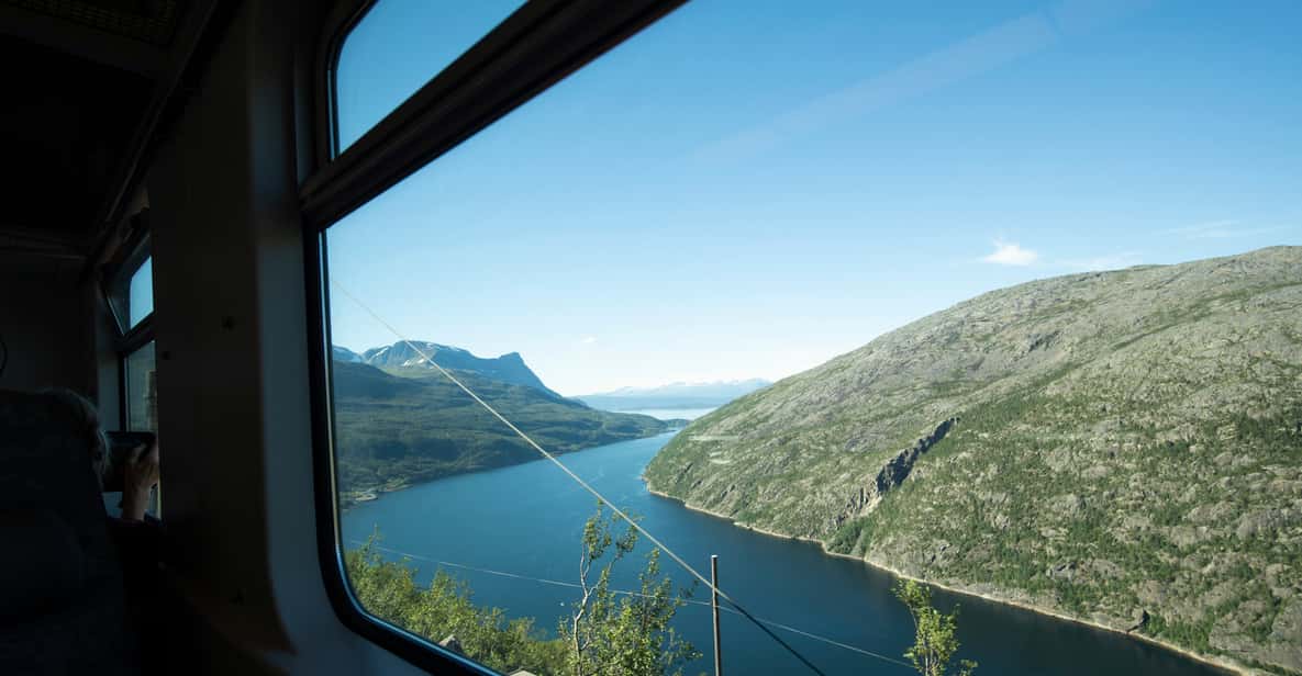 From Narvik: Round-Trip Arctic Train Ride on Ofoten Railway | GetYourGuide
