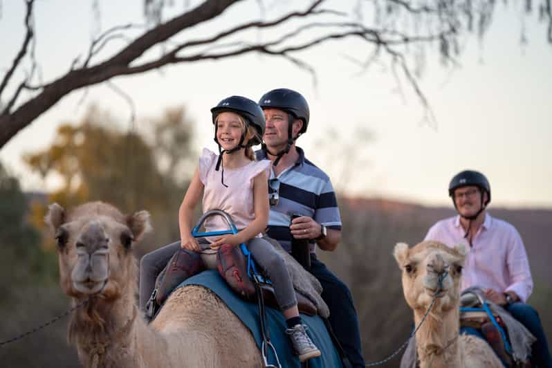 Alice Springs: Guided Outback Camel Ride | GetYourGuide