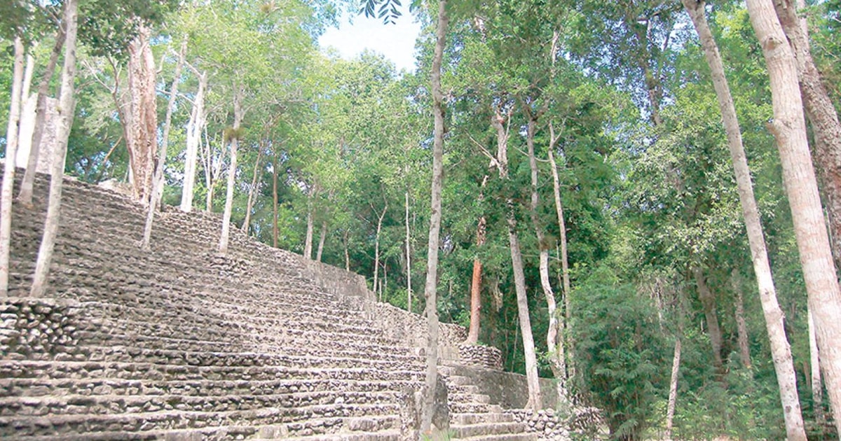 From Campeche: Private 3-Day Selva Maya Tour with Half Board | GetYourGuide