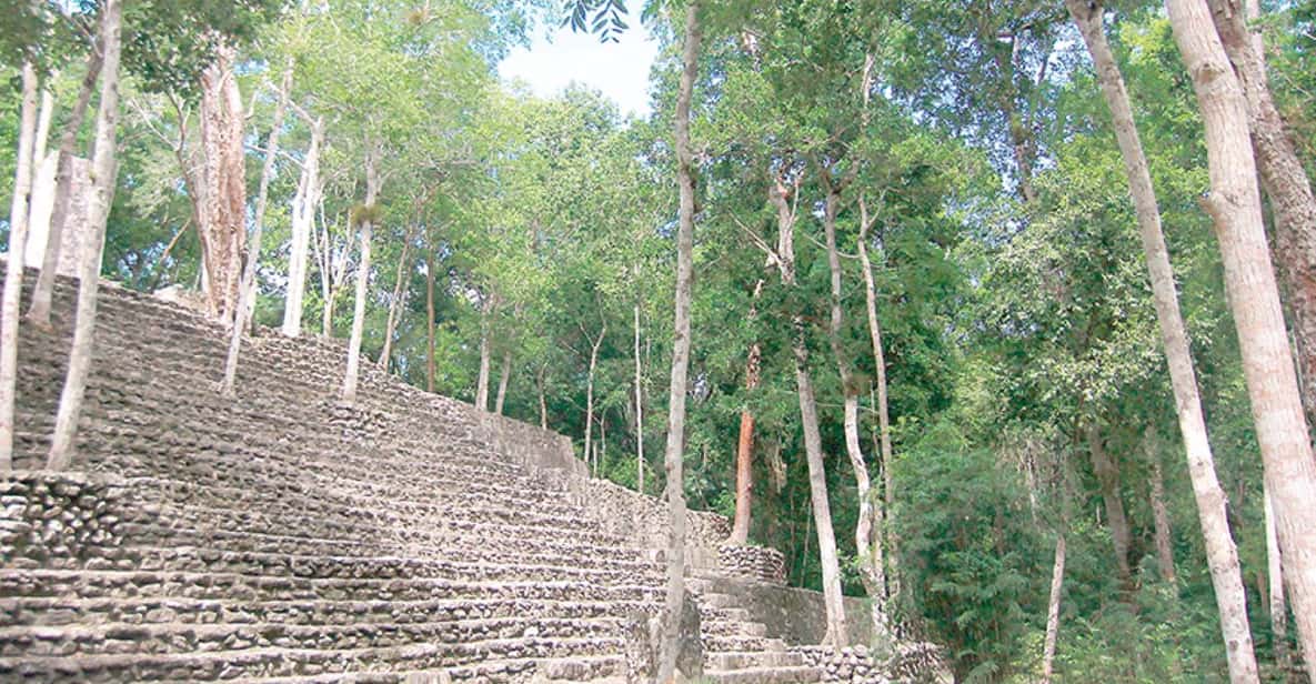 From Campeche: Private 3-Day Selva Maya Tour with Half Board | GetYourGuide