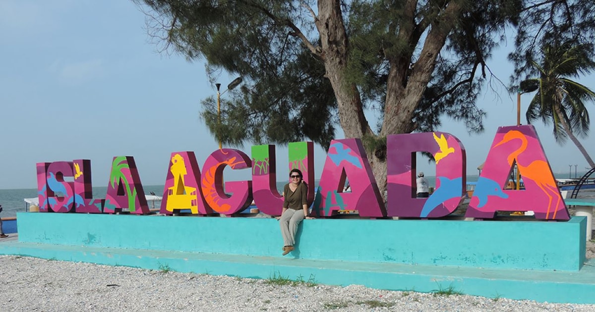Van Campeche: Isla Aguada Dolphin Encounter Tour | GetYourGuide