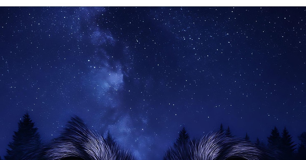 Omega Park: ONIRO Immersive experience by night | GetYourGuide