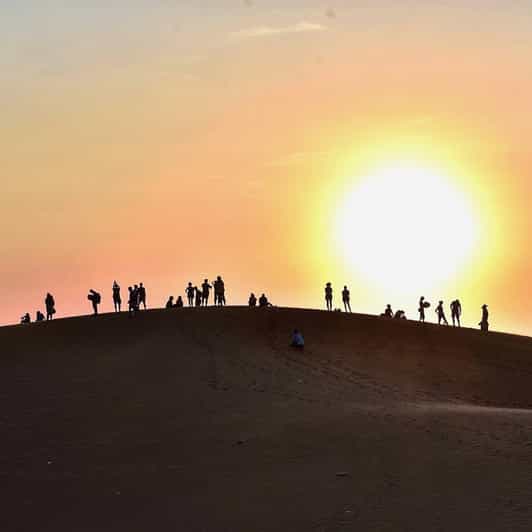 Doha: Sunset Safari, Dune Bashing, Sandboarding & Camel Ride | GetYourGuide