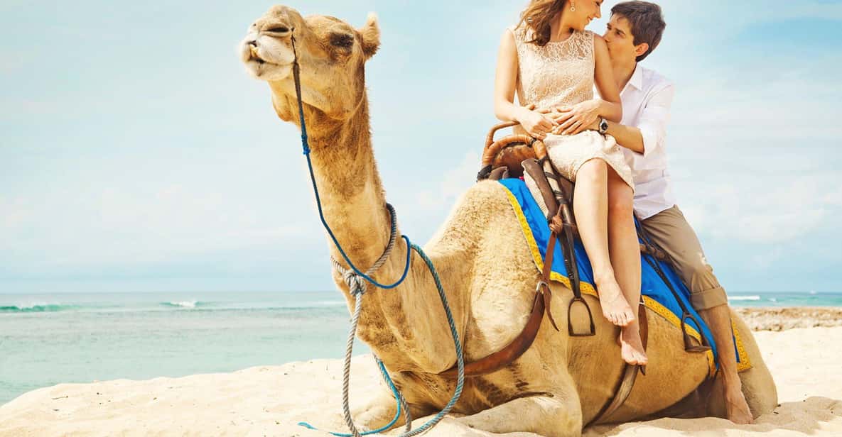 Agadir: Camel Ride Beach Tour Experience | GetYourGuide