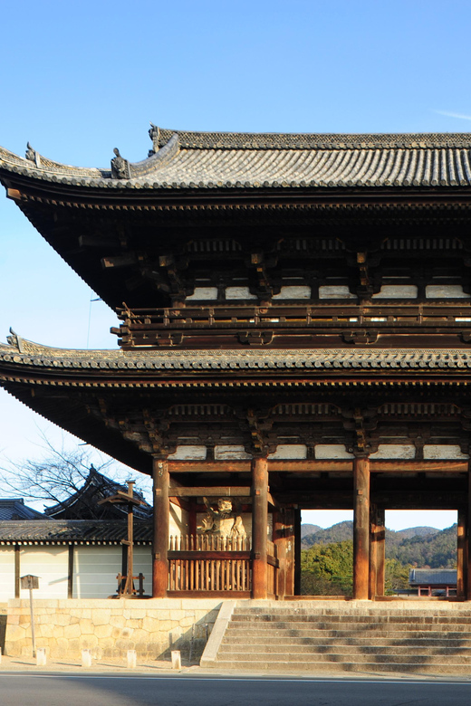 Kyoto: Ninnaji Temple Entry Ticket | GetYourGuide