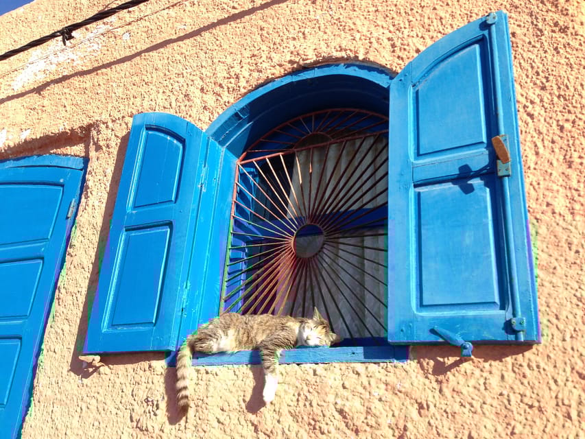 Agadir: Private City Tour with Kasbah & Agadir Museum Access | GetYourGuide