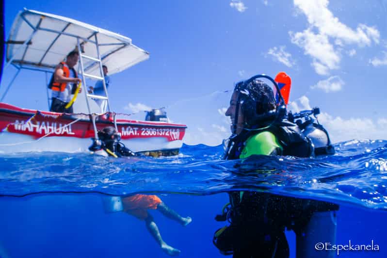Discover Scuba Diving: Mahahual reef experience | GetYourGuide