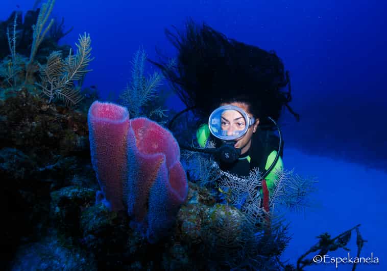 Discover Scuba Diving: Mahahual reef experience | GetYourGuide