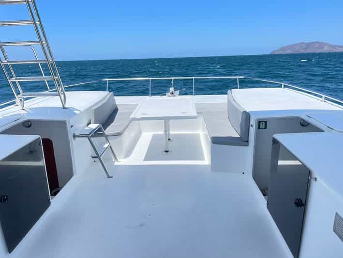 Pacific Lounge: Public Sunset Catamaran | GetYourGuide