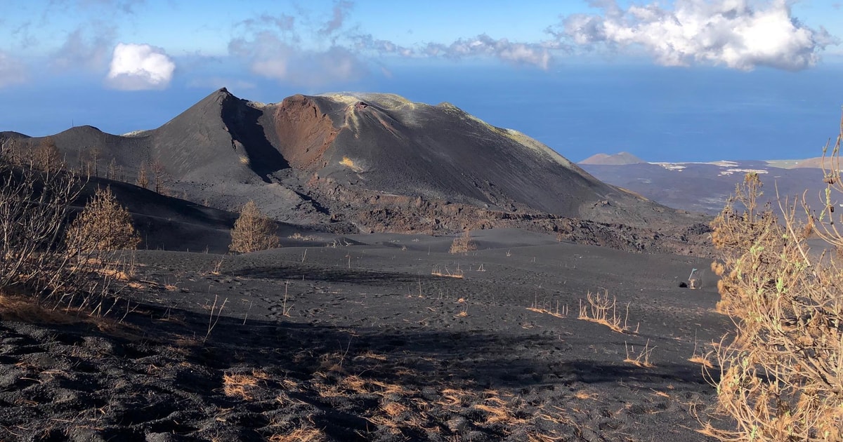 La Palma: Geführte Tour zum Vulkan Tajogaite mit Transfer | GetYourGuide