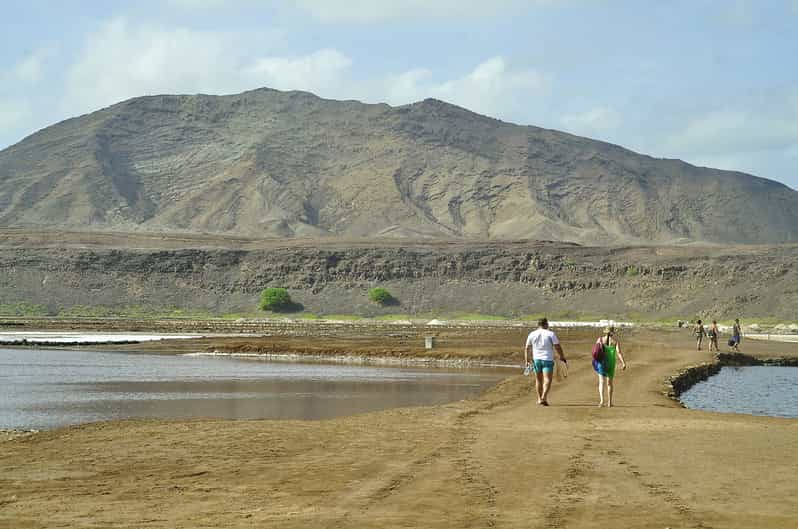 Sal: Lemon Shark Bay en Pedra de Lume Salt Lakes Tour | GetYourGuide