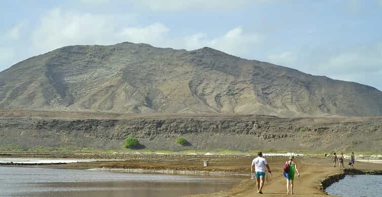 Sal: Lemon Shark Bay and Pedra de Lume Salt Lakes Tour | GetYourGuide