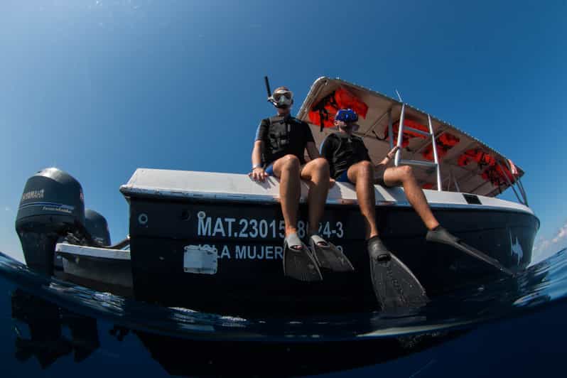 From Cancun/Riviera Maya: Guided Whale Shark Snorkeling Tour | GetYourGuide