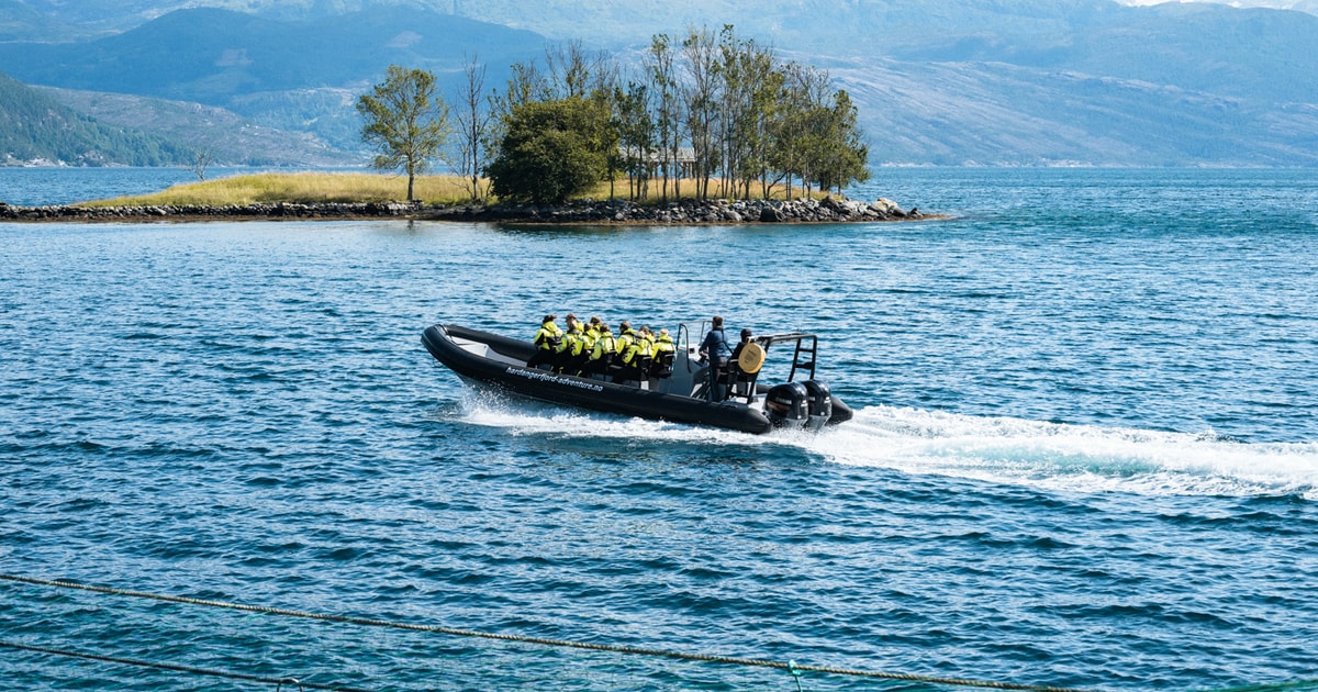 Von Norheimsund aus: Hardangerfjord & Fyksesund RIB Fjord Tour ...