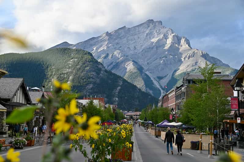 Banff: Highlights i Wildlife Group Tour | GetYourGuide