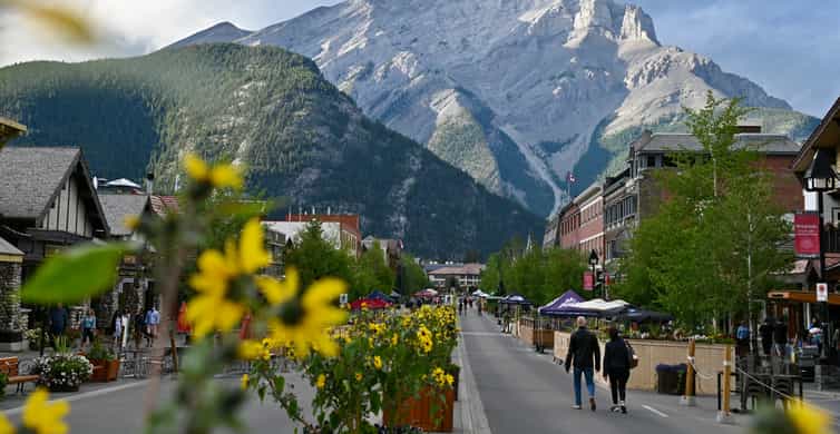 Banff: Highlights and Wildlife Group Tour | GetYourGuide