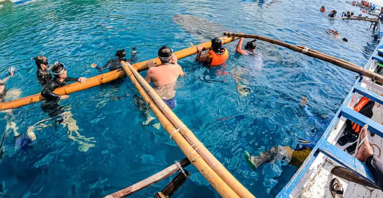 From Cebu: Oslob Whale Shark Snorkeling and Canyoning Tour | GetYourGuide