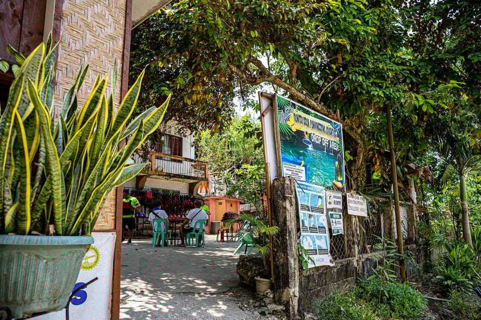 From Cebu: Oslob Whale Shark Snorkeling and Canyoning Tour | GetYourGuide