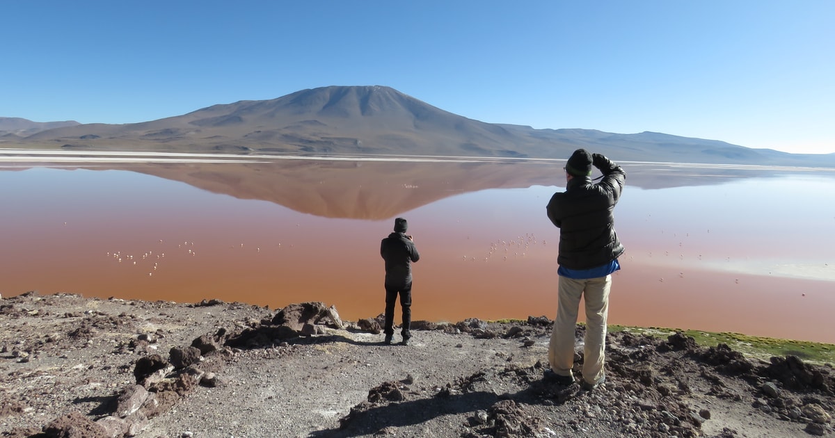 Da Uyuni: gita giornaliera privata Laguna Colorada. | GetYourGuide