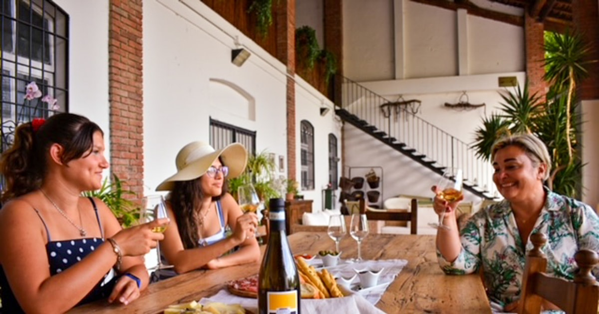 Sirmione: prohlídka vinic s ochutnávkou vín a olejů Lugana | GetYourGuide