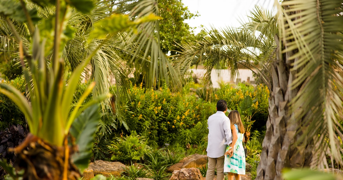 Houston: Houston Botanic Garden Entry Ticket | GetYourGuide