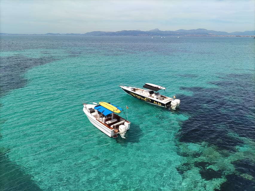 Local Boat Experience Bobo Boat | GetYourGuide