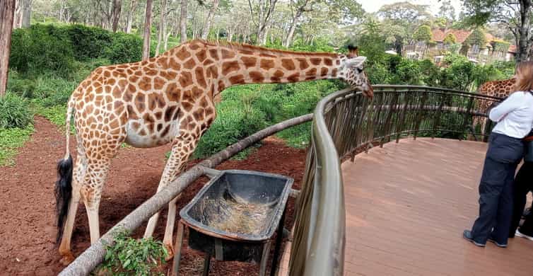Day Tour-Nairobi National park, Elephant and giraffe center | GetYourGuide