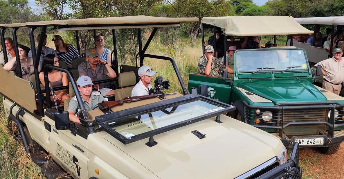 From Johannesburg: Half-Day Safari to Dinokeng Game Reserve | GetYourGuide