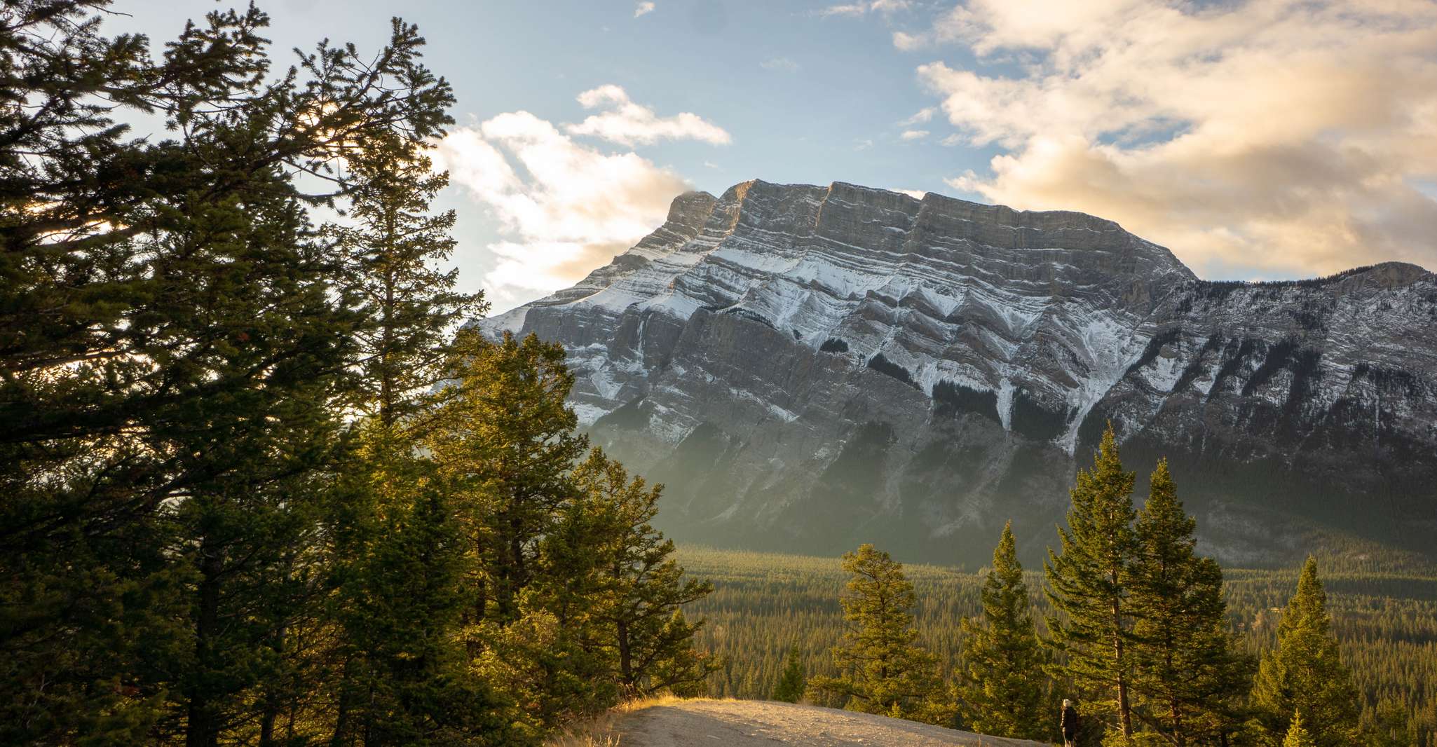 Banff, Highlights and Wildlife Group Tour - SuiteTrails