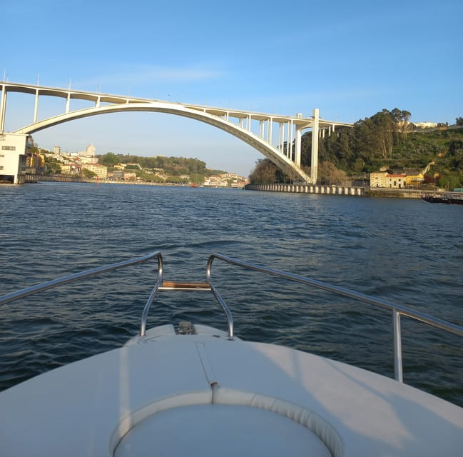 Passeio de barco no rio Douro | GetYourGuide