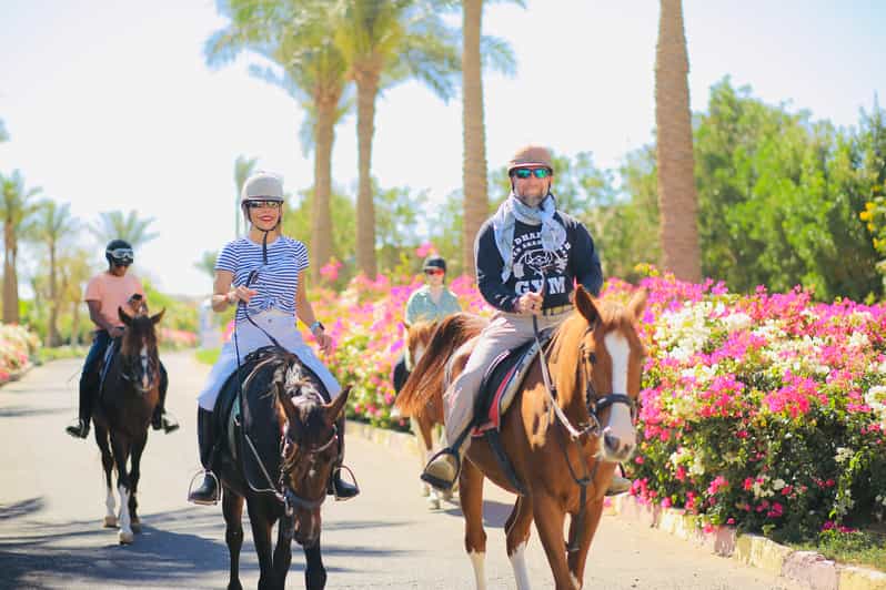 Sharm El shiekh Beach & Desert Horse Riding Tour (Jízda na koni v ...