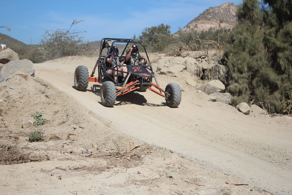 Cabo San Lucas: Off-Roading Buggy Adventure to Migriño | GetYourGuide