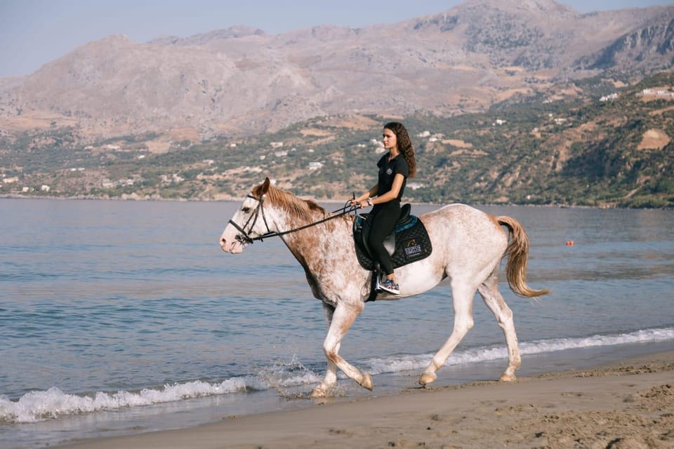 Crete Horse Riding: Plakias Beach Ride | GetYourGuide