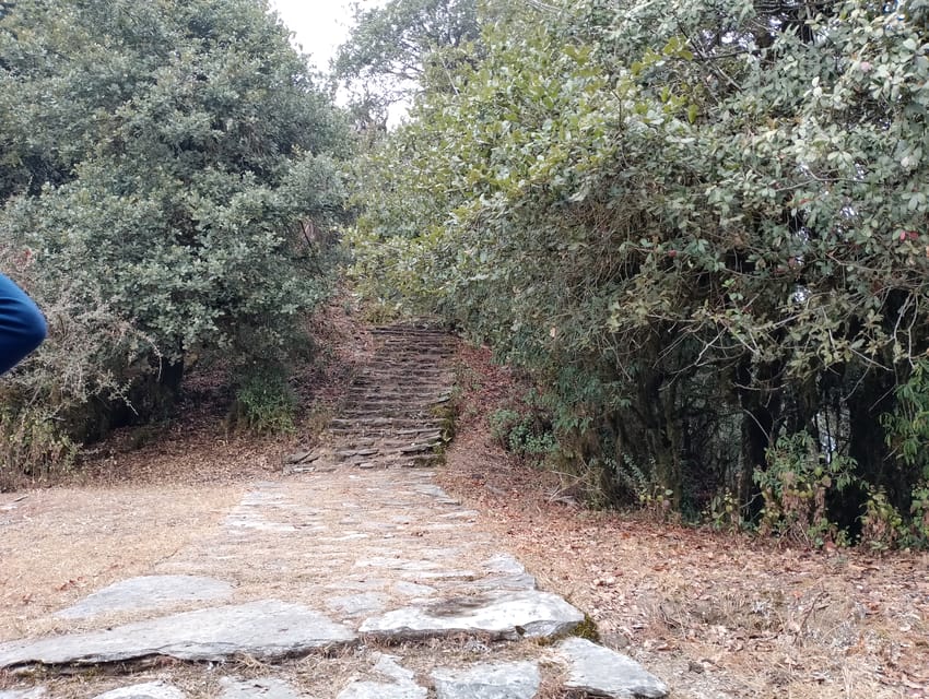 2 Days Panchase Trek from Pokhara | GetYourGuide