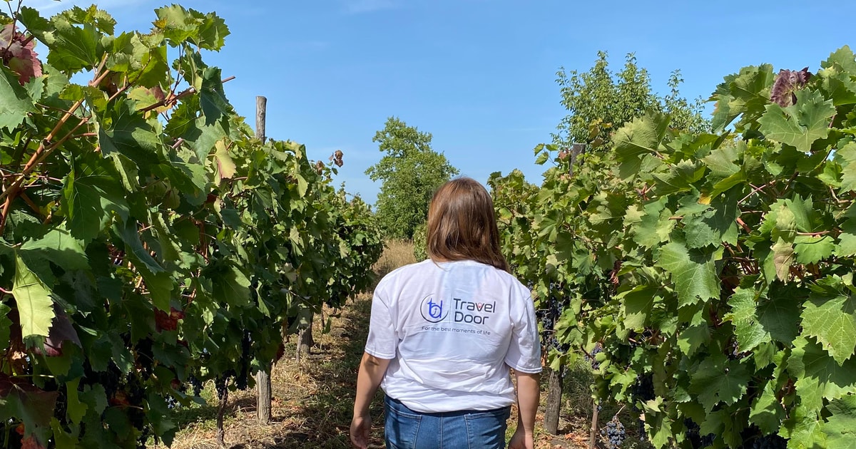 002 | Kakheti Wine Region Full Day Tour -Group | GetYourGuide