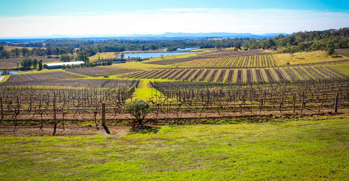Vanuit Sydney: Hunter Valley Wine Tasting Private Day Tour | GetYourGuide