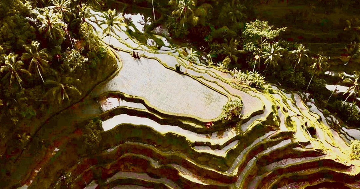 Ubud: All-Inclusive Tour with Optional Lunch | GetYourGuide