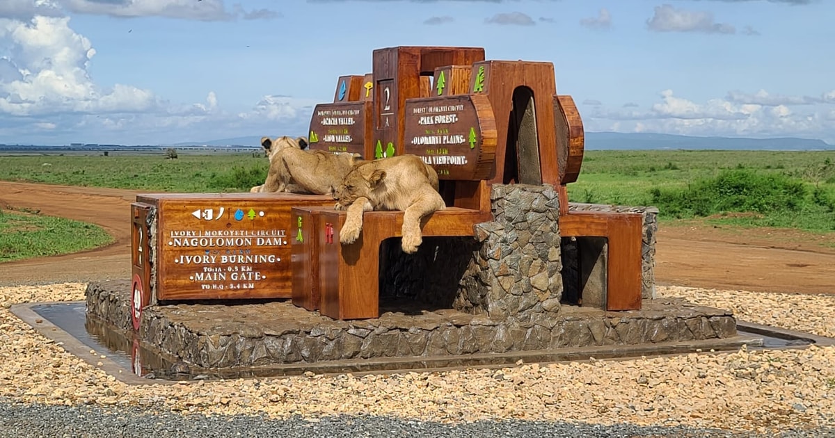 Day Tour-Nairobi National park, Elephant and giraffe center | GetYourGuide