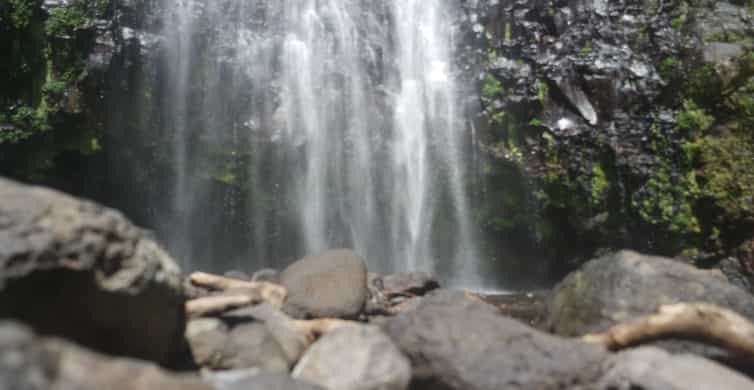 Cascada Materuni, Moshi - Reserva de entradas y tours | GetYourGuide