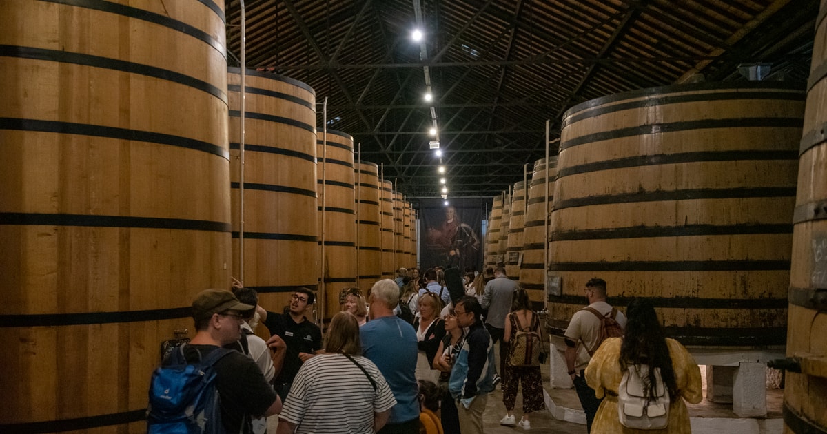 Porto: Wine Cellar Entry, Train Tour & Optional River Cruise | GetYourGuide