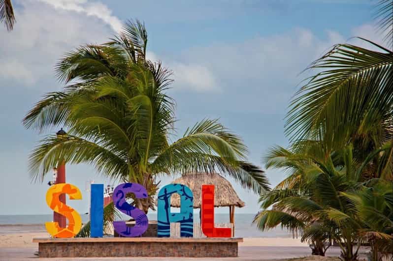 Da Mérida: El Manantial de Sisal | GetYourGuide