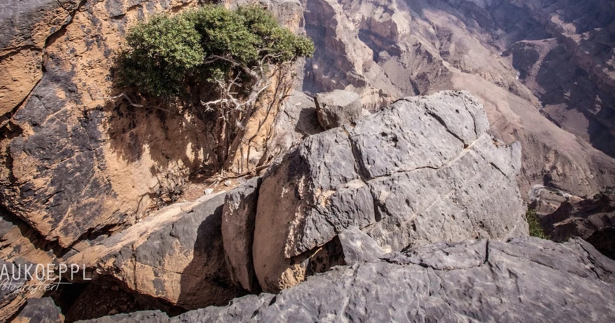 Jebel Shams ( Day Trip ) "The Grand Canyon Of Oman"- 8 Hours | GetYourGuide
