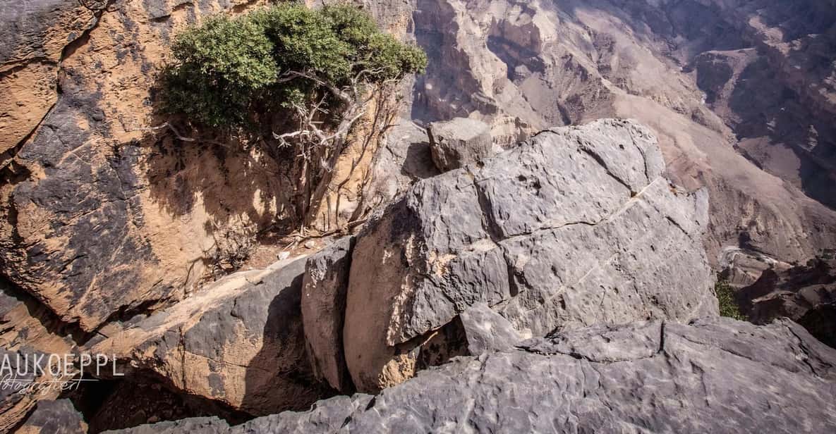 Jebel Shams ( Excursión de un día ) "El Gran Cañón de Omán"- 8 Horas ...
