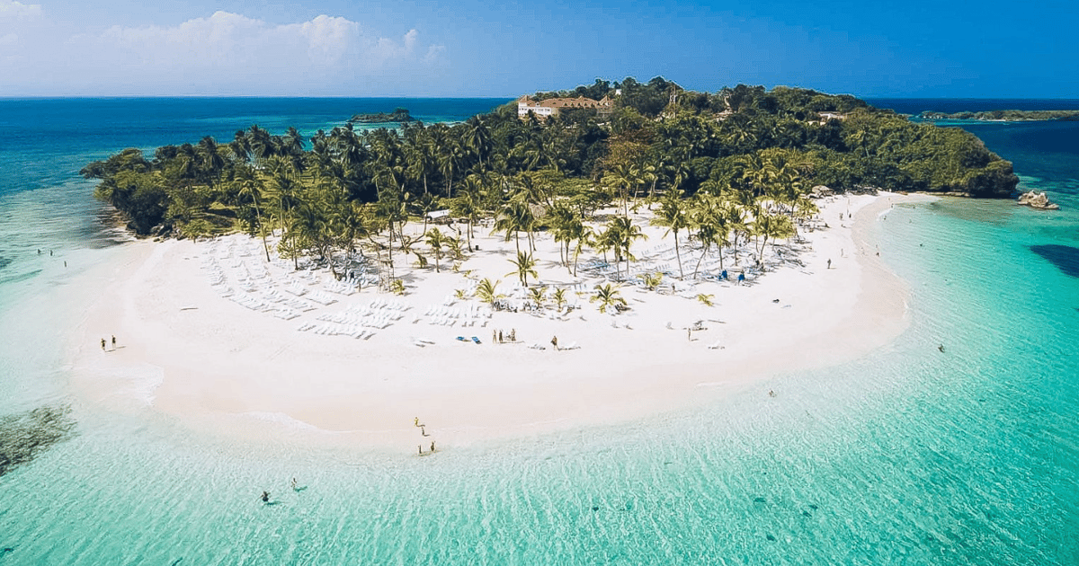 Punta Cana: Samana Full Day Trip Whale Cascada El Limon | GetYourGuide