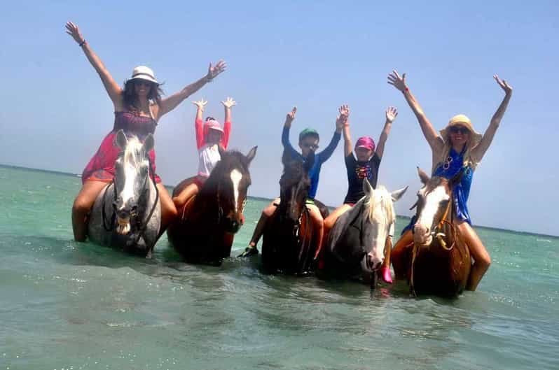 Sharm El Sheikh: Nabq Bay Park Beach Horse Riding Tour | GetYourGuide