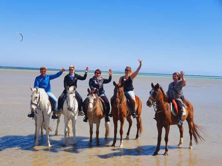 Sharm El Sheikh: Nabq Bay Park Beach Horse Riding Tour | GetYourGuide
