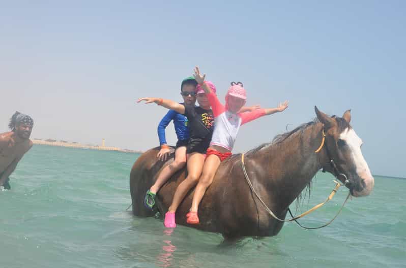 Sharm El Sheikh: Nabq Bay Park Beach Horse Riding Tour | GetYourGuide