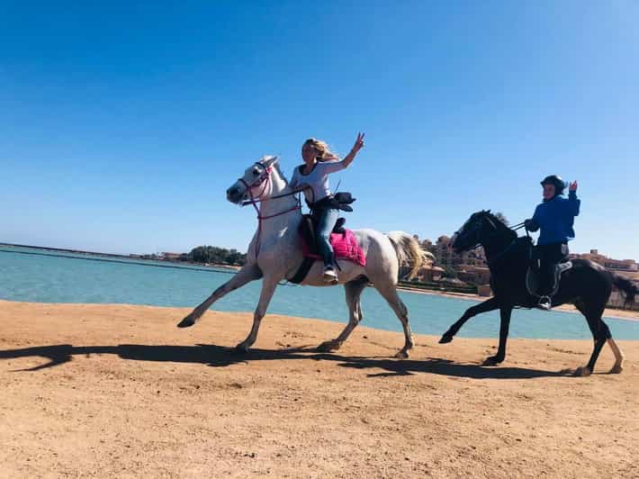 Sharm El Sheikh: Nabq Bay Park Beach Horse Riding Tour | GetYourGuide